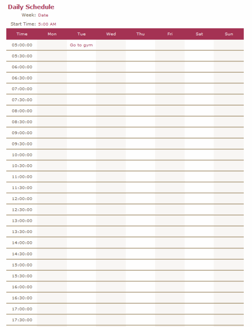 Daily Schedule