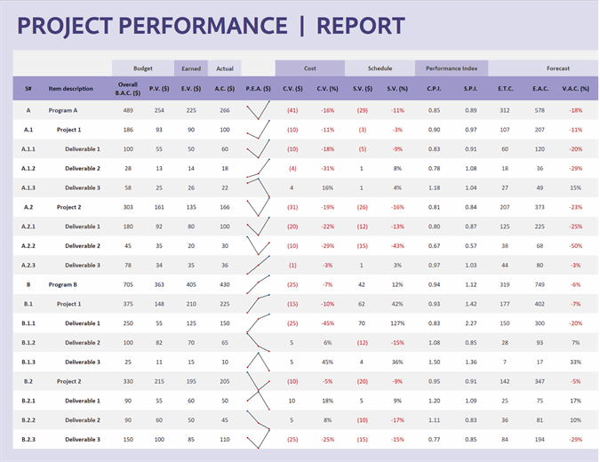 Project Performance Report