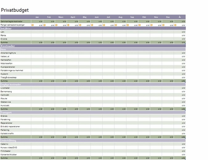 Aer Budget Worksheet